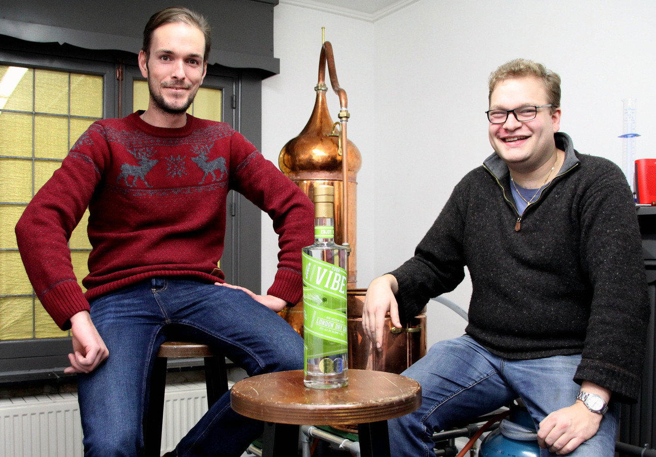 Vibe komt met gin voor matrozen | Foto | hln.be