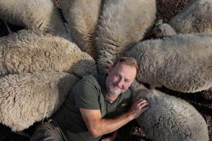 Schaapherder Riaan is niet voor of tegen de wolf: ‘Ik snap nu beter ...
