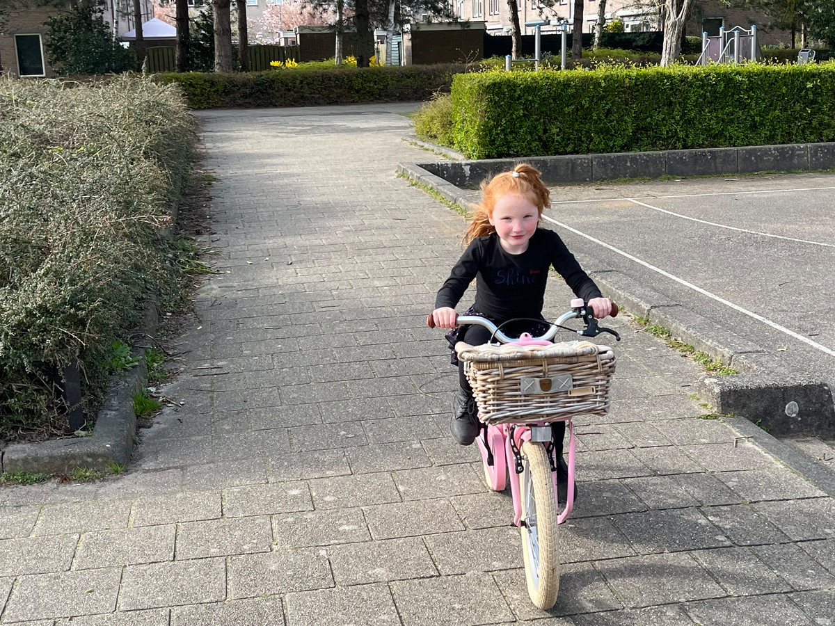 Dezelfde smaak als Rachels betovergrootvader: Haagse Wiener Konditorei al 89 jaar binnen ...