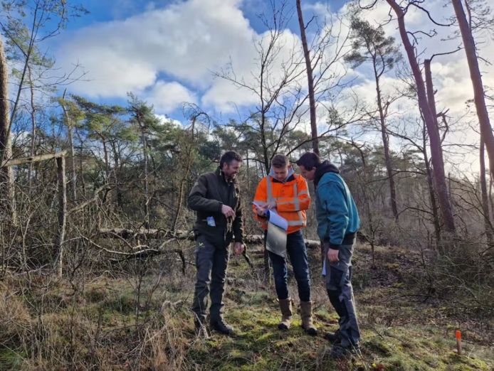Breeveen in Leersum krijgt ‘stormpad’: ‘Effect valwind goed voor ...