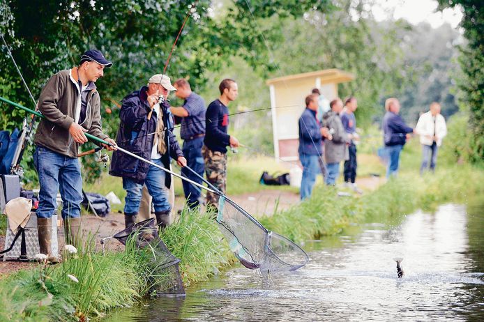 Miljoenensubsidie voor forellenkweker Emst om van visrestanten visvoer ...