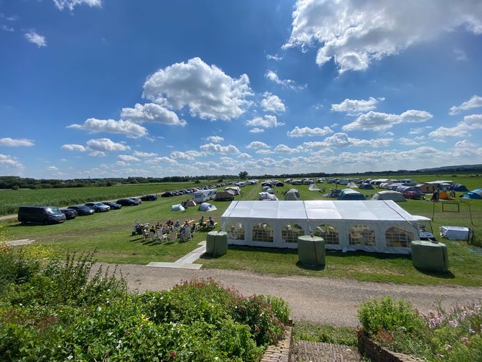 Extra attractie op Vierdaagsecamping De Plak: een kalfje van een paar ...