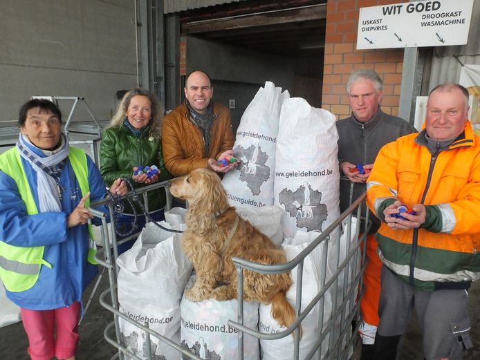 Plastic dopjes naar containerpark | Deinze | hln.be