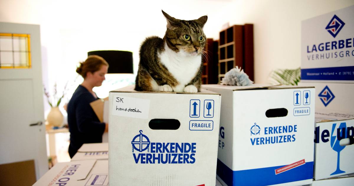 Zoveel eigen geld moet je inleggen als je een huis wilt kopen | Wonen ...