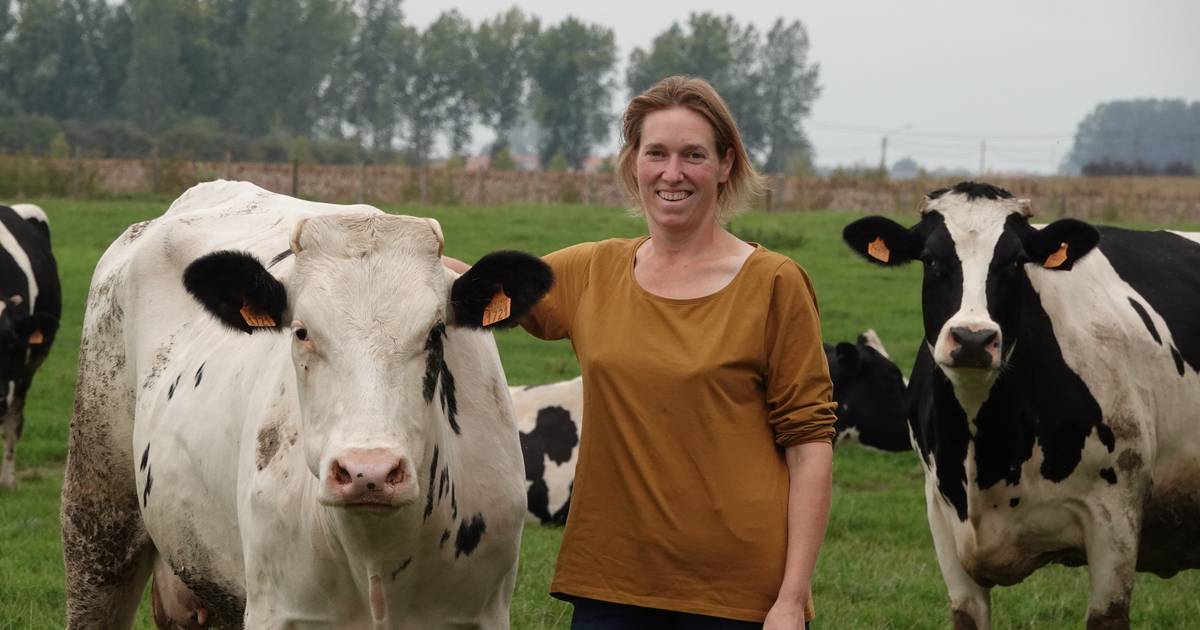 Bezige bij Lies Sampers dingt mee naar titel ‘De Strafste Boerin van ...