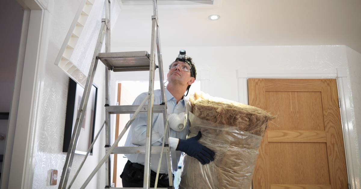 Wil je huisbaas niet isoleren? Den Haag gaat huurders helpen om dat af ... Wil je huisbaas niet isoleren? Den Haag gaat huurders helpen om dat af ...