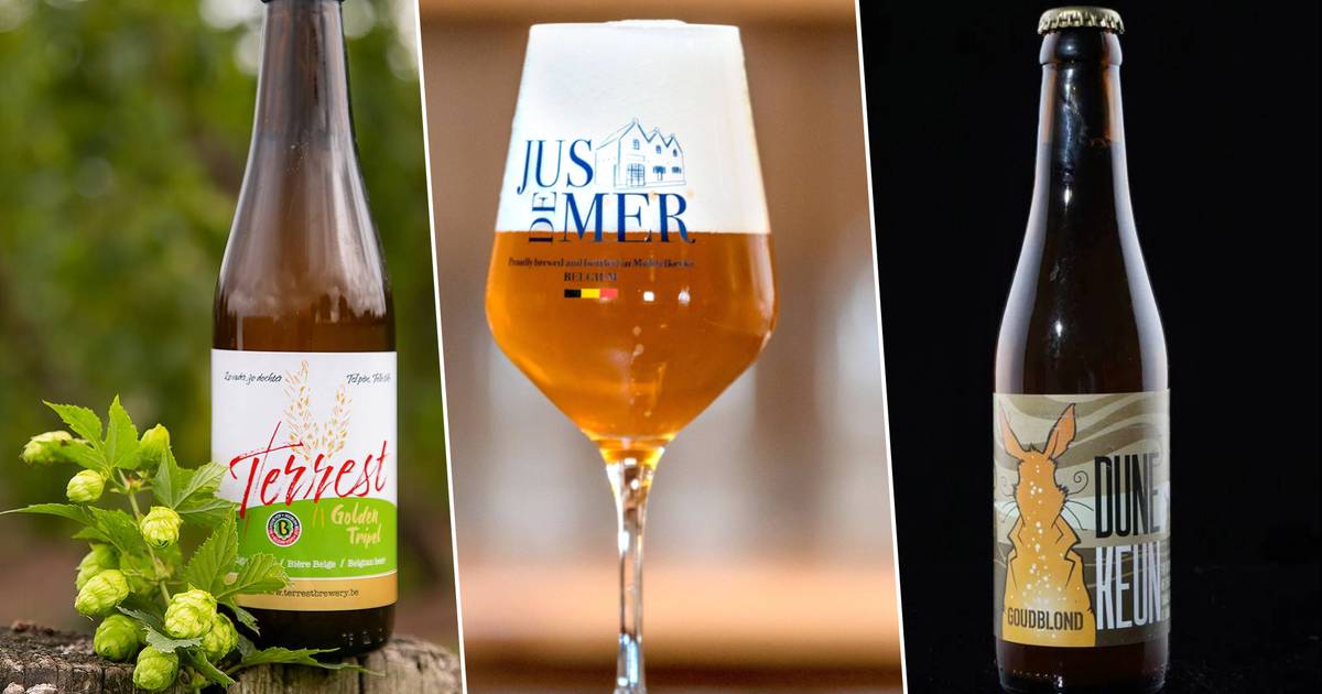 Van Jus De Mer tot Zeevonk: deze vijf lokale bieren moet je geproefd ...