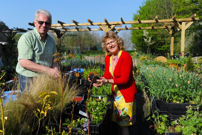 Eigenaars 'Mooiste tuin van Nederland' beginnen helemaal opnieuw ...
