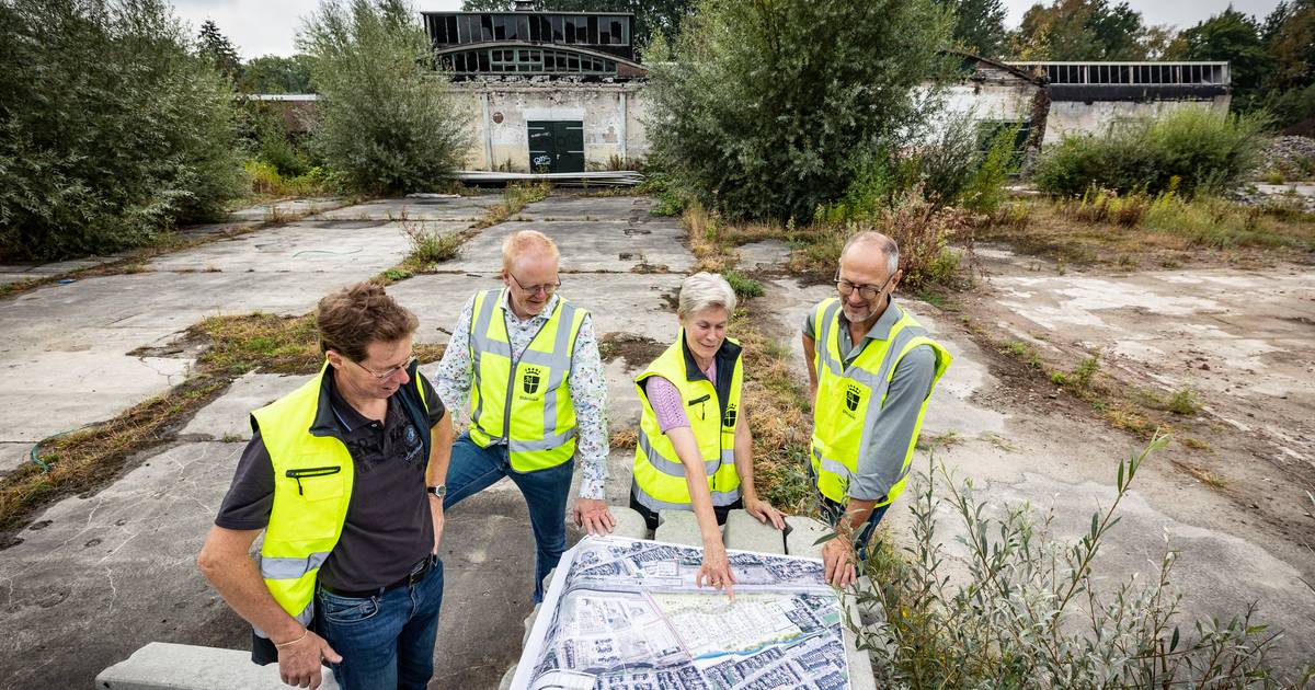 Wat betekent stikstofuitspraak voor bouwprojecten in Oldenzaal? ‘Het ...