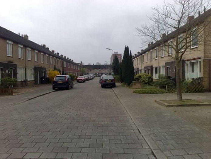 Youssef Chahbouni 'kon moeilijk tegen ruzie' | Den Bosch, Vught | bd.nl