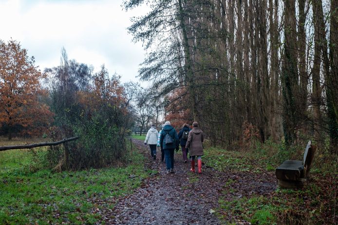 Boechout investeert in bebossing en breidt natuurgebied uit | Boechout ...