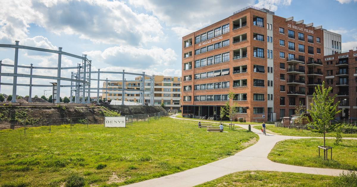 Stad Gent gaat in Tondelierwijk aan Rabot méér woningen verhuren ...