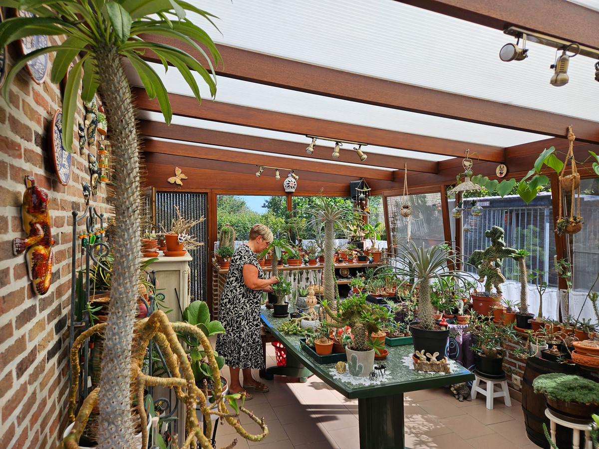 MIJN TUIN. De duizend cactussen van Sabine en Dirk: “Als de ...