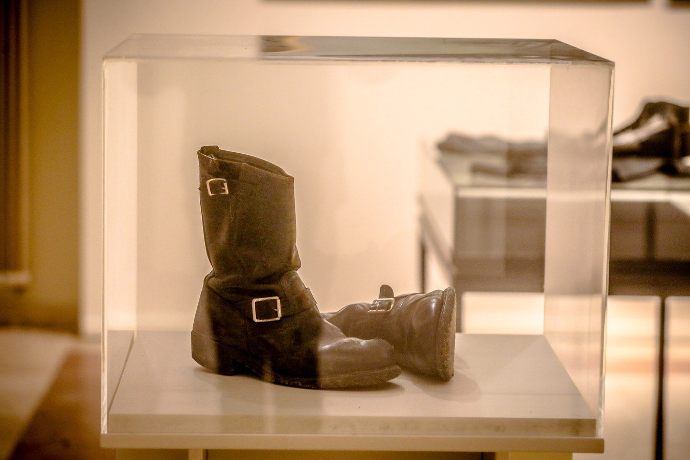 Danny Willems blikt terug op 50 jaar vriendschap met Arno met expo en ...