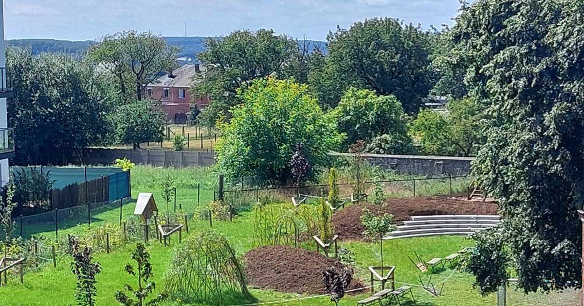 Meteen feest op 1 september in basisschool De Groene Poort | Zottegem ...
