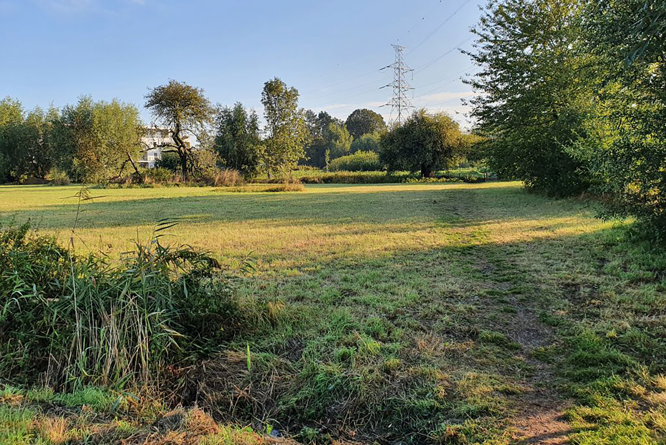 Groen licht voor ‘Groenplan Kallo’: 1,5 hectare nieuwe speelnatuur voor ...