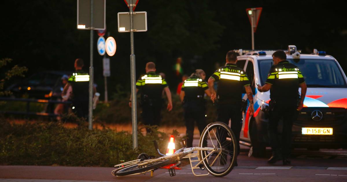 Dordtse man (33) opnieuw opgepakt voor betrokkenheid steekpartij Hugo de Grootlaan | Dordrecht ...