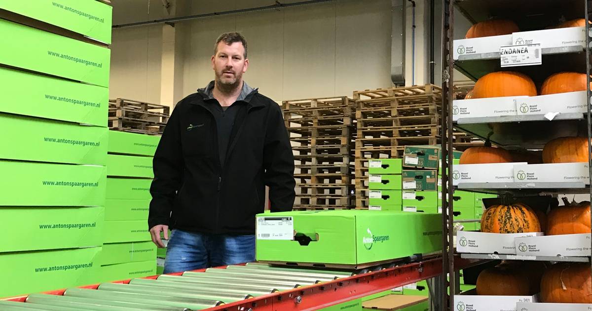 Logistiek Manager Ronald (41) maakt zijn vrouw elk weekend blij met ...