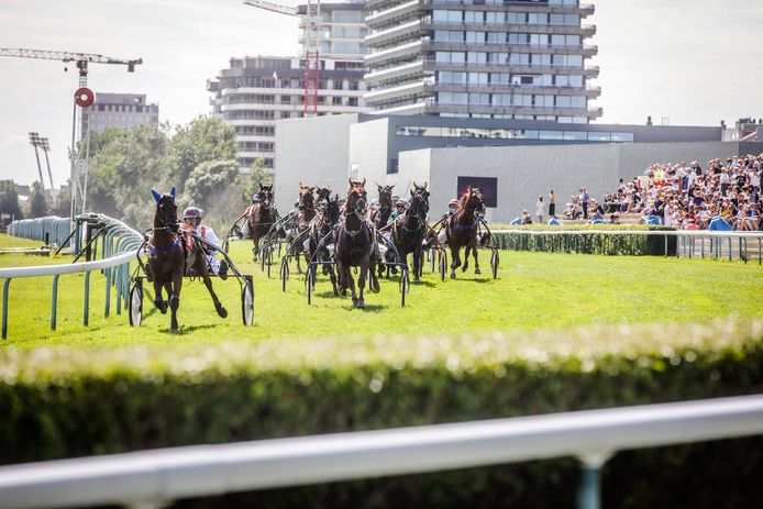 Dag van de Bredenaar op Oostende Koerse | Bredene | hln.be