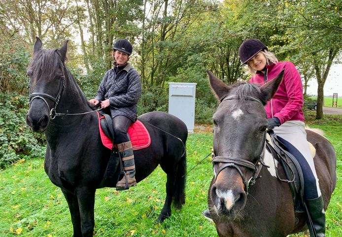 Brigitte en Gerda nemen op de ruggen van Tsjitske en Sophie kalmpjes ...