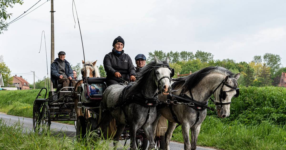 Maandag Recreatiewandeling der Tabaksstreek voor paard en koets, start ...