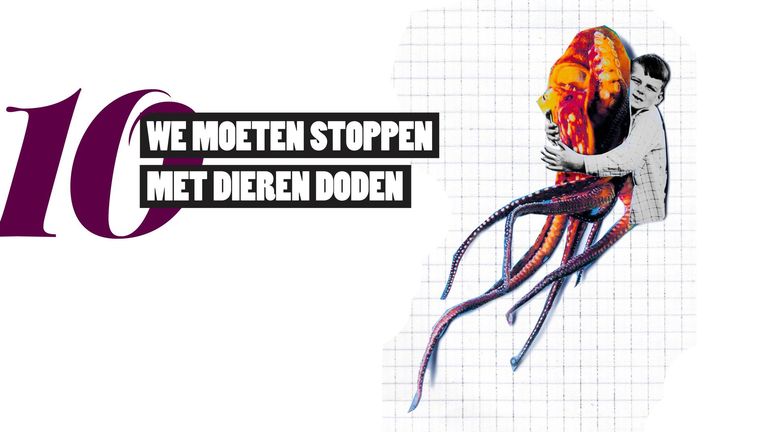 We moeten stoppen met dieren doden | De Volkskrant We moeten stoppen met dieren doden | De Volkskrant