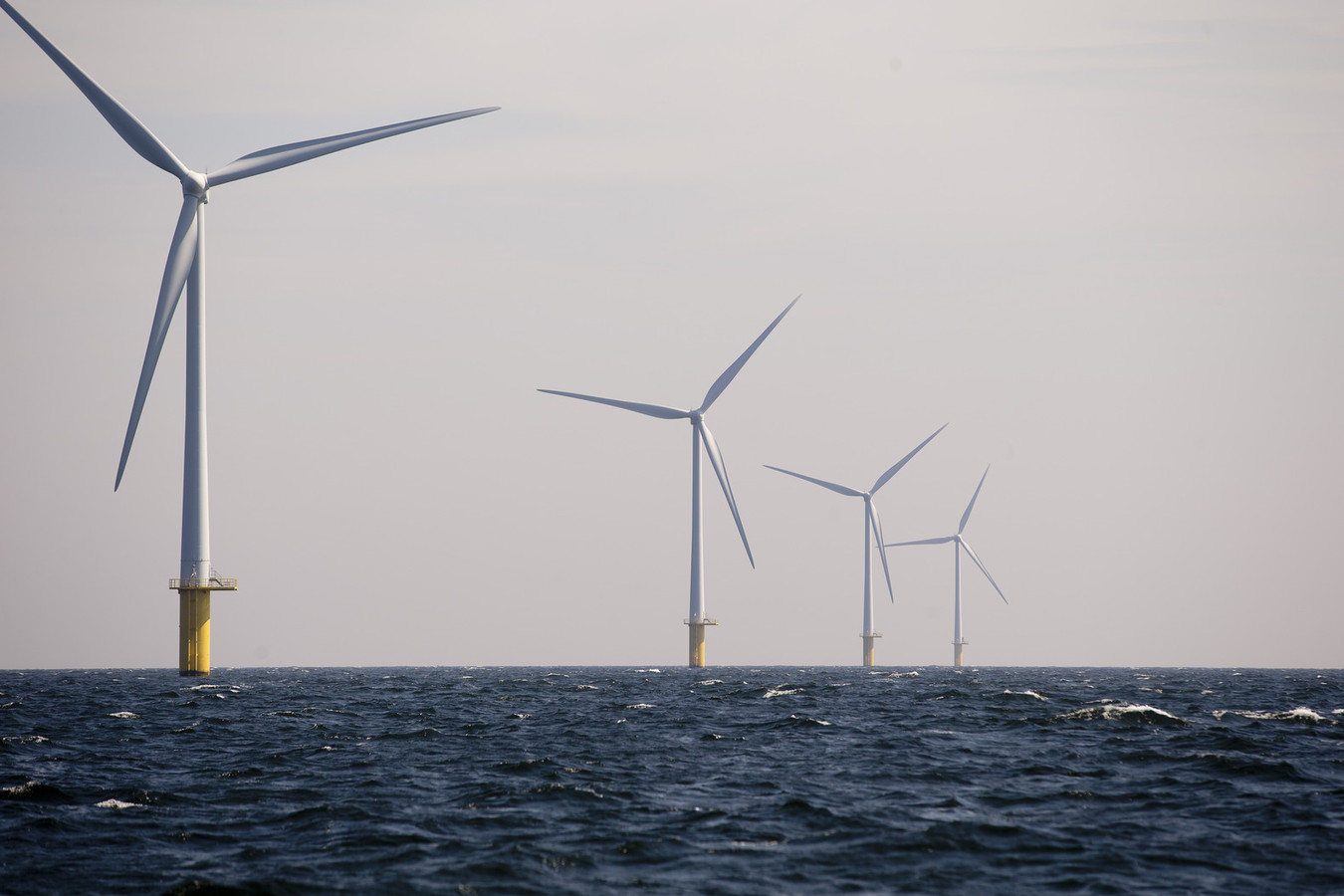 Shell ziet toch brood in windmolens op zee | Foto | ed.nl