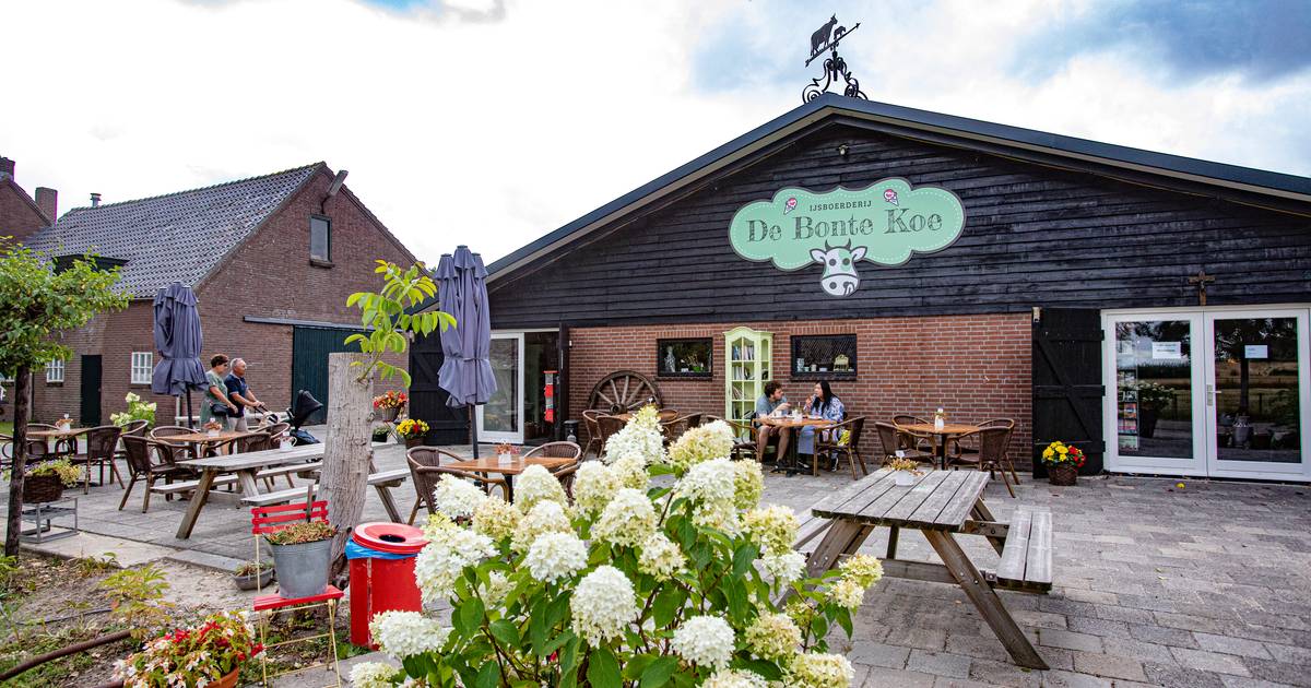 Bestenaren protesteren op gemeentehuis tegen verbod op gratis ...