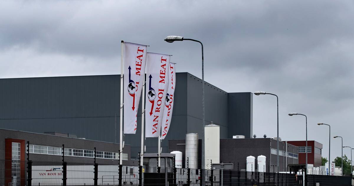 Slachterij Van Rooi Meat in Helmond voorlopig dicht; een op de zes ...