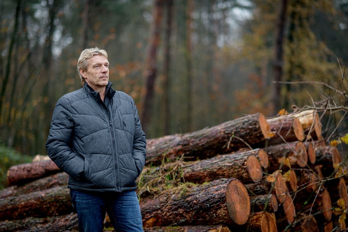 Ondernemer in hout Paul Reef spant zich in voor Goor: ‘Ik heb een hekel ...