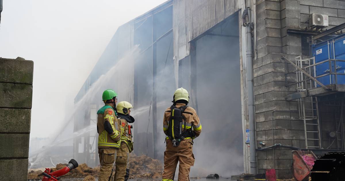 Loods met stro verwoest door grote brand in Kampen, nablussen gaat nog ...