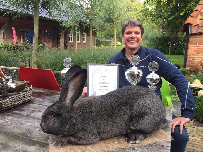 Koning onder de Vlaamse Reuzen komt uit Den Ham | Twenterand | tubantia.nl