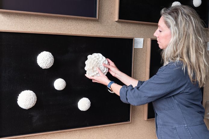 Mary maakt kunst van klei en porselein: ‘Het is echt monnikenwerk ...