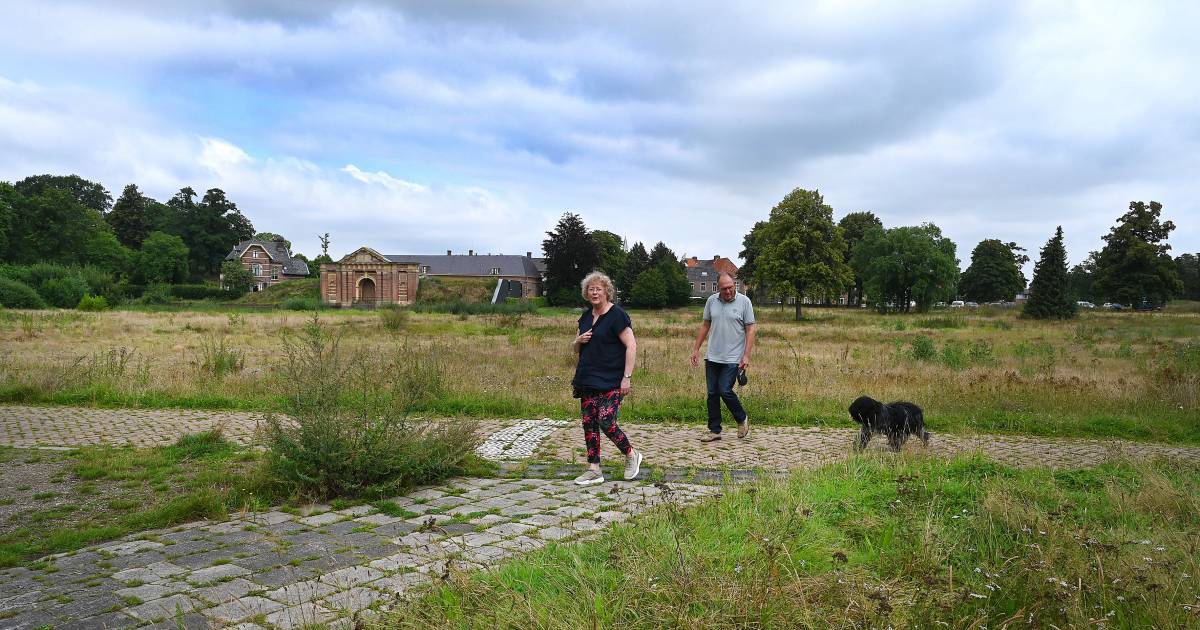 Oude funderingen, een oude muur en een oude boom belemmeren ...
