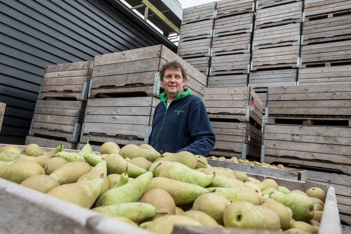 Weergoden wisten perentelers dit jaar wel te vinden, toch zijn meesten ...
