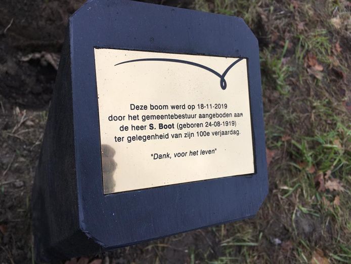 Stoffel Boot (100) zet zijn magnolia zelf in de grond | Schouwen ...