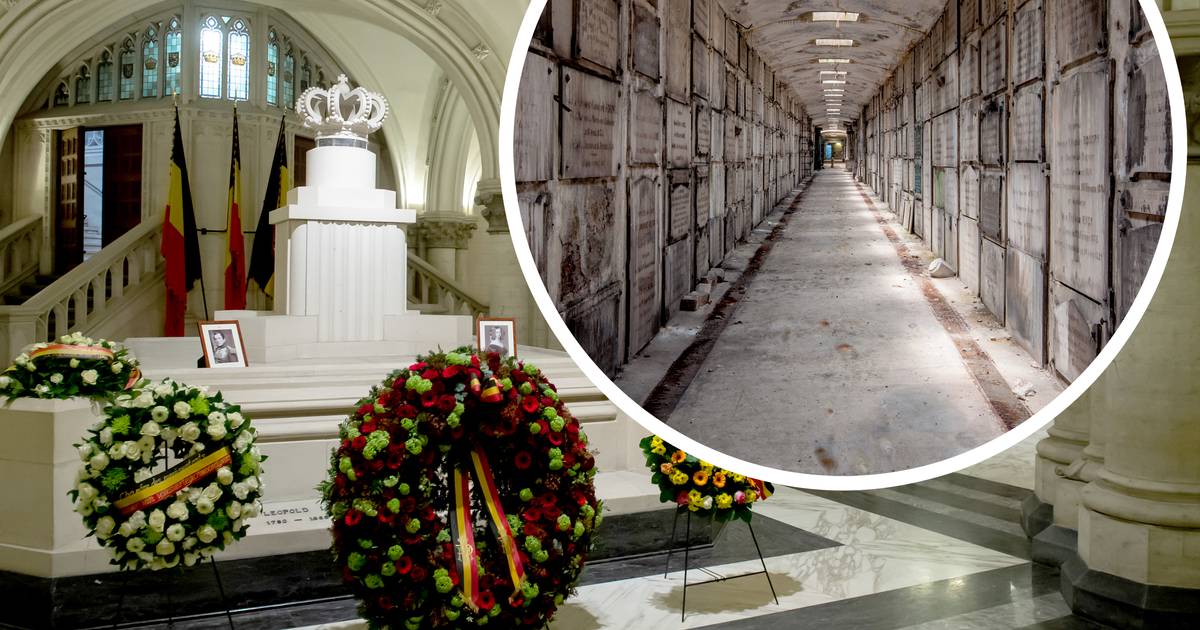 Leopold I moest langs de zijdeur en Albert II stond voor een groot ...