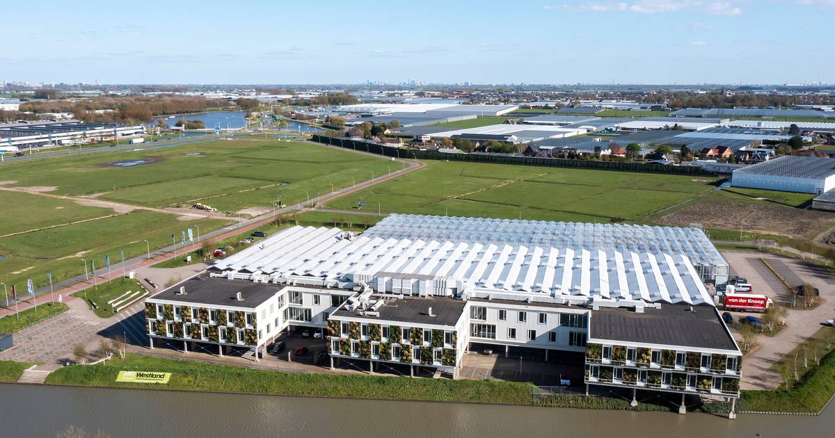 150 tijdelijke woningen moeten er over een jaar staan op de Flora ...