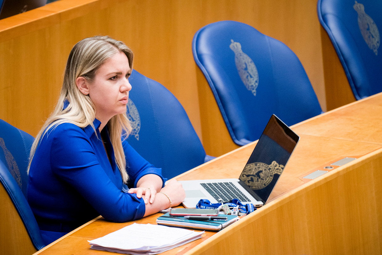 Voormalig PvdD-Kamerlid Van Kooten komt nu met eigen partij: Splinter