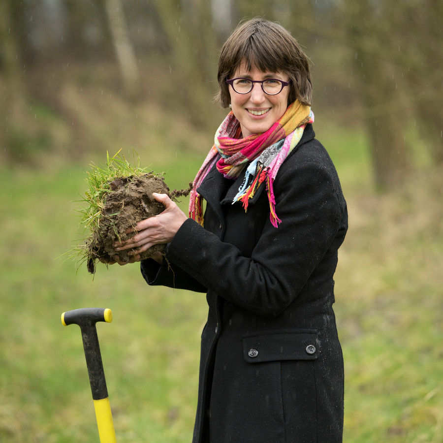 Twee super zeldzame soorten insecten op de Wageningen Campus: ‘Primeur ...