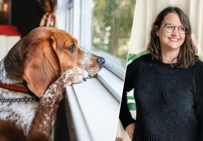 Kan jouw hond echt niet alleen blijven? “Je hond fysiek uitputten heeft ...