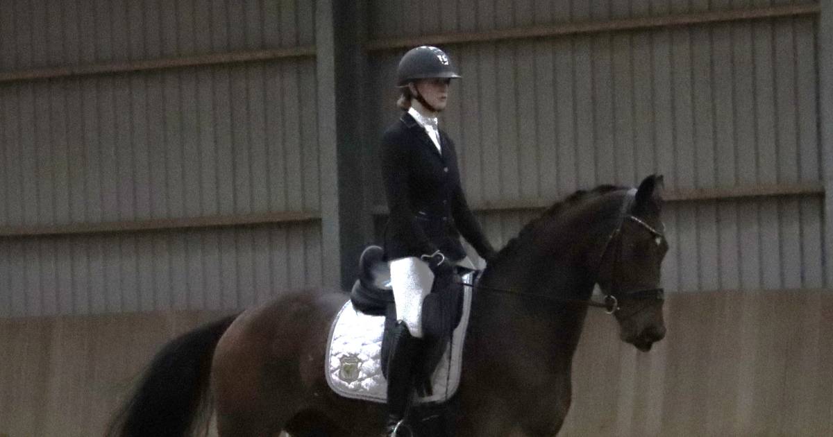 Dressuur: Myrthe de Loos en Helena Ysebaert winnen in Westdorpe | Sport ...