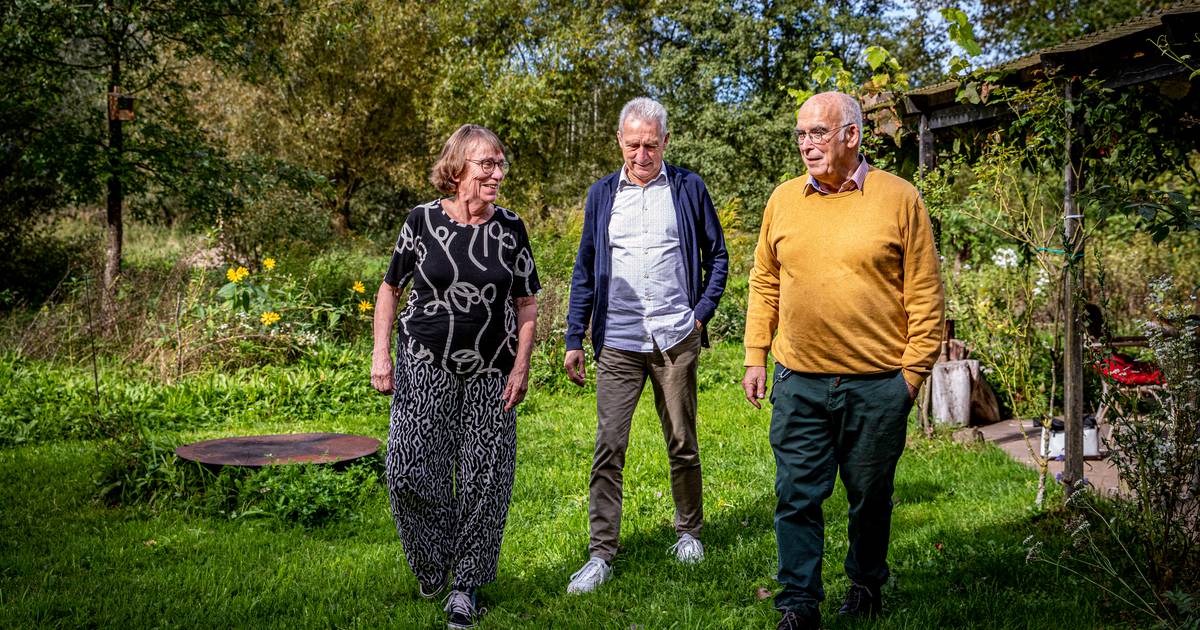 Alleen samen krijg je een Kunstenfestival op poten | Uit-tips ...