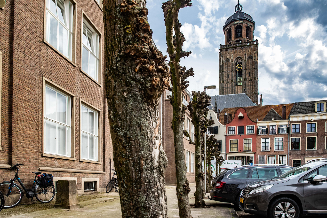Wéér gedoe om bomenkap in centrum Deventer: ‘Alles gaan ze kappen ...