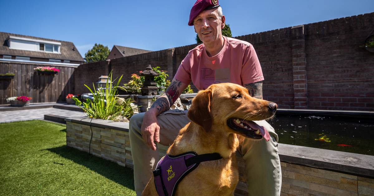 ‘Trots om als Eindhovenaar mee te kunnen doen aan de Invictus Games ...