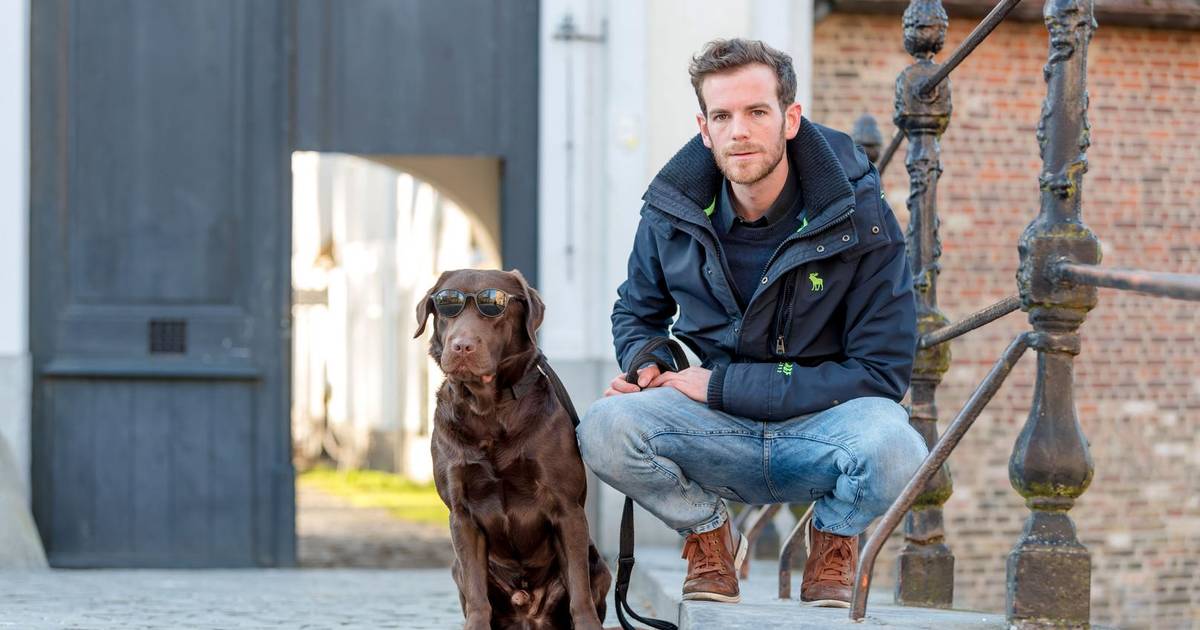Labrador Tudor nodigt uit op eerste hondenfestival | Brugge | hln.be