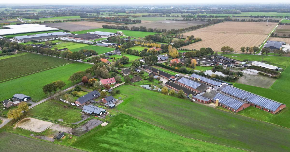 Van boerenbuurt tot beerput, waar ging het mis in de Boekelse Elzen? | Boekel | AD.nl