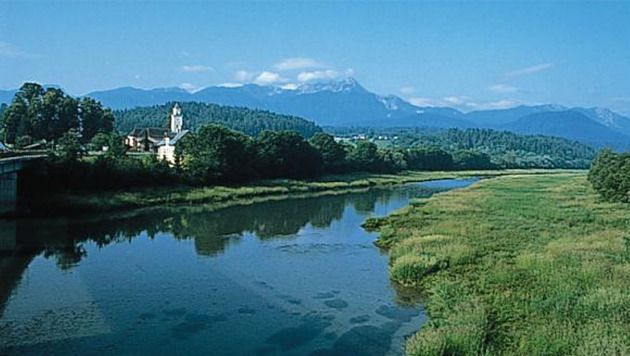 Krokodil gezien in Oostenrijkse rivier | Bizar | AD.nl