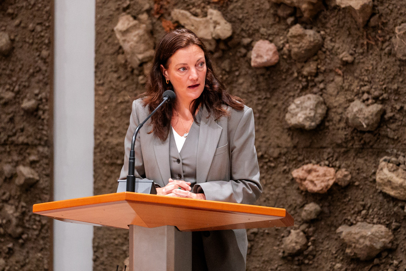 Na ophef rond vergadering pro-Palestinastudenten stelt SP Kamervragen ...