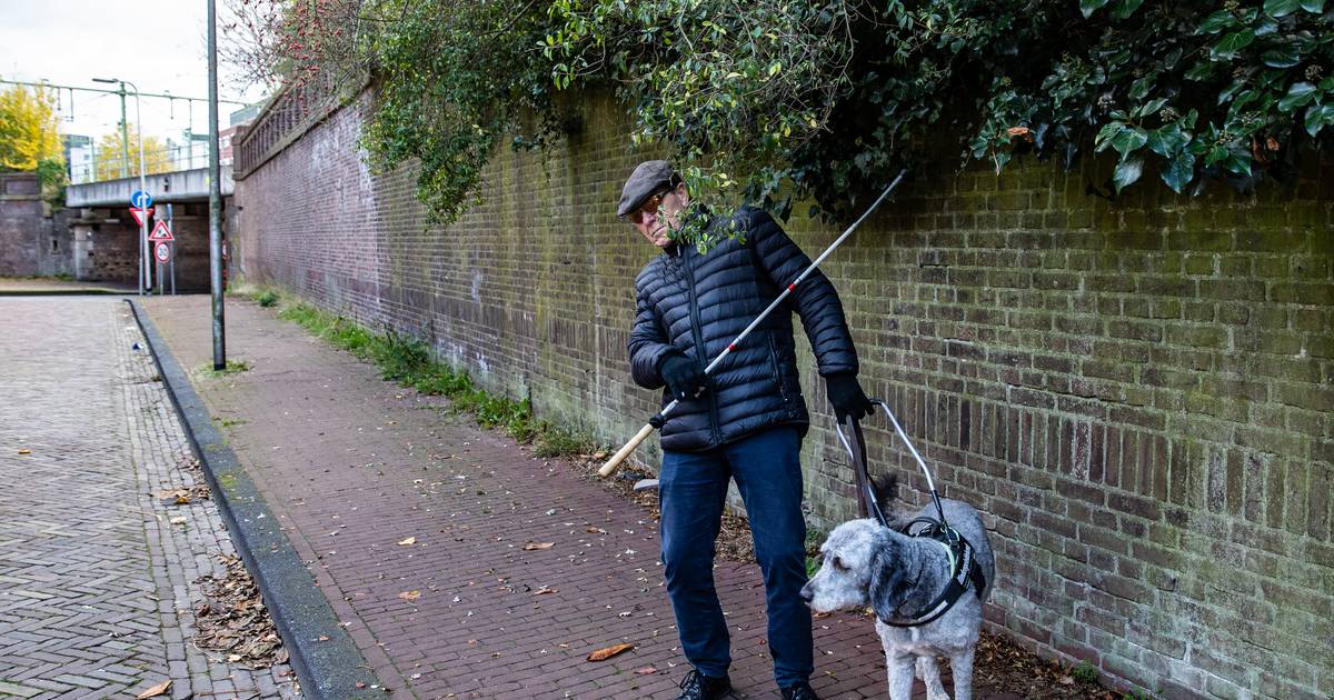 Overhangende takken in Deventer die blinde Jan (67) teisteren, worden ...